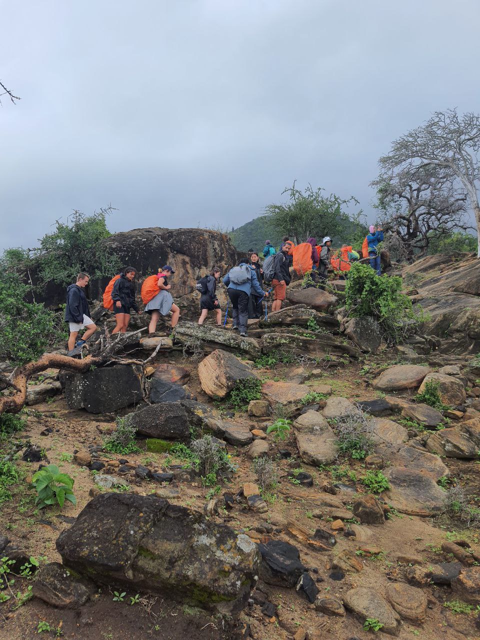 Travel with us - Green Masai Foundation